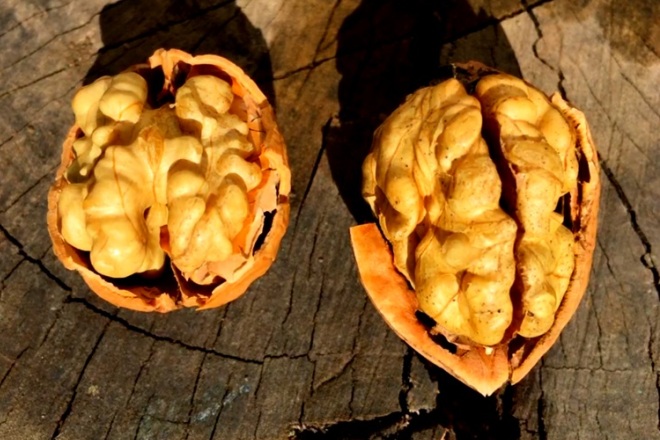 Nueces catamarqueñas a Italia - Suena A Campo