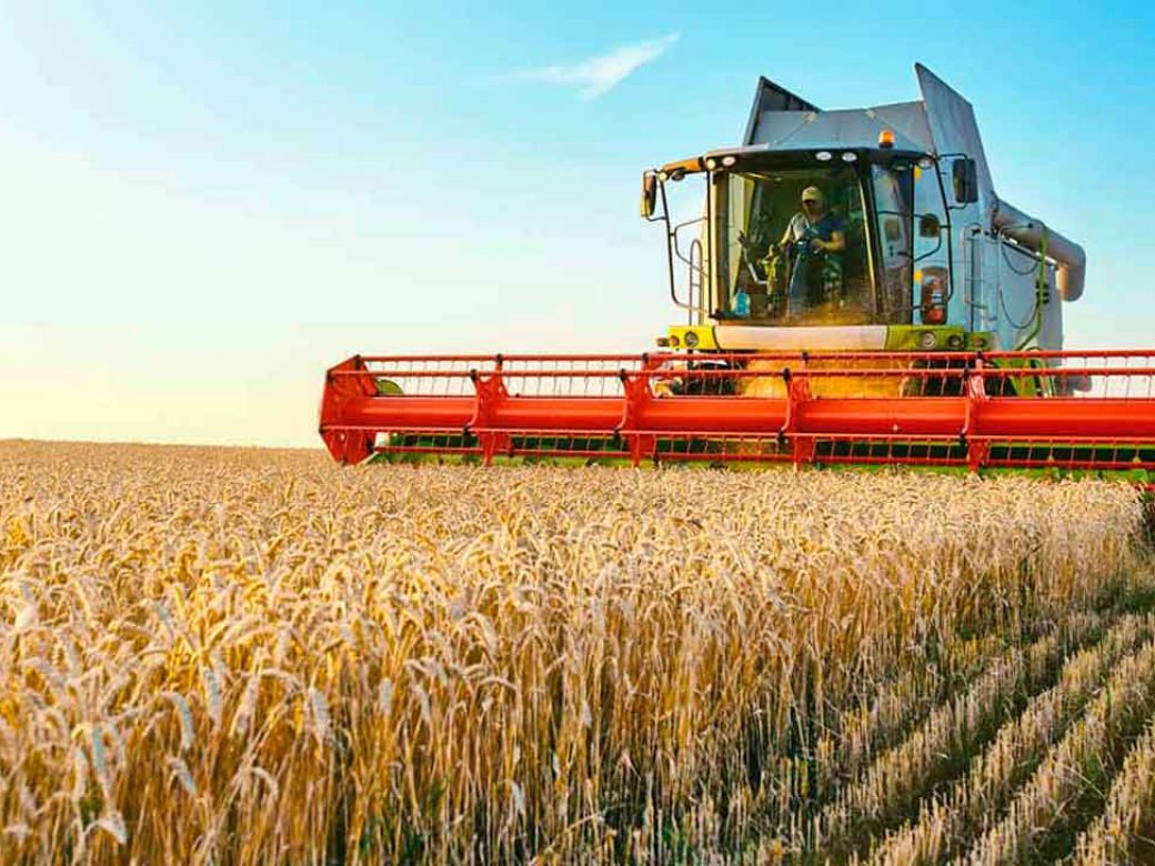 La Nación presentó el informe de la calidad del trigo argentino