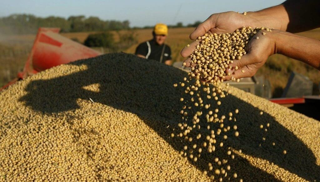 Soja: China redobla compras en Sudamérica y la exportación de poroto ...