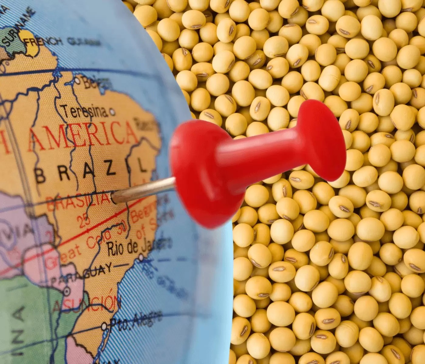 Sin techo: Brasil proyecta otra cosecha récord de soja, con un nivel ...